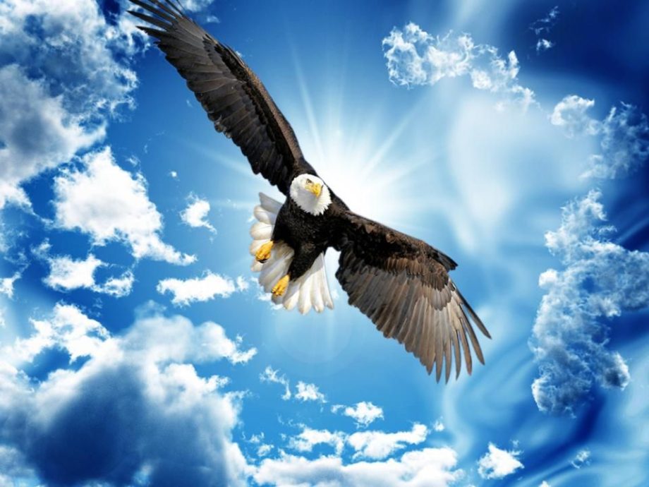 MEDICINE WHEEL GATHERING! Spring Equinox Celebration – Eagle Skyfire